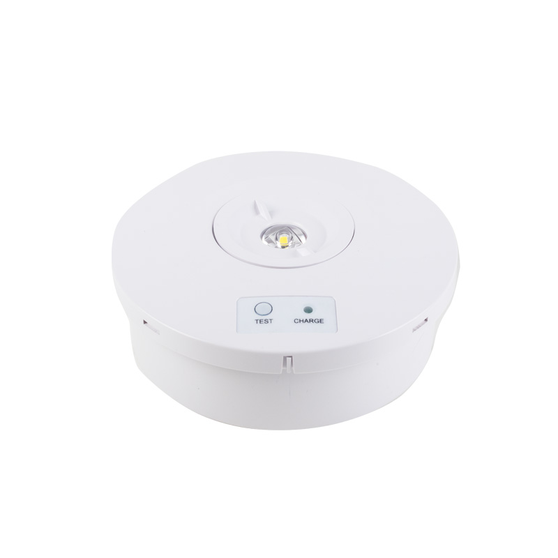 Emergency Lights In Ceiling Lithonia By Acuity 50w 120/277vac Halogen